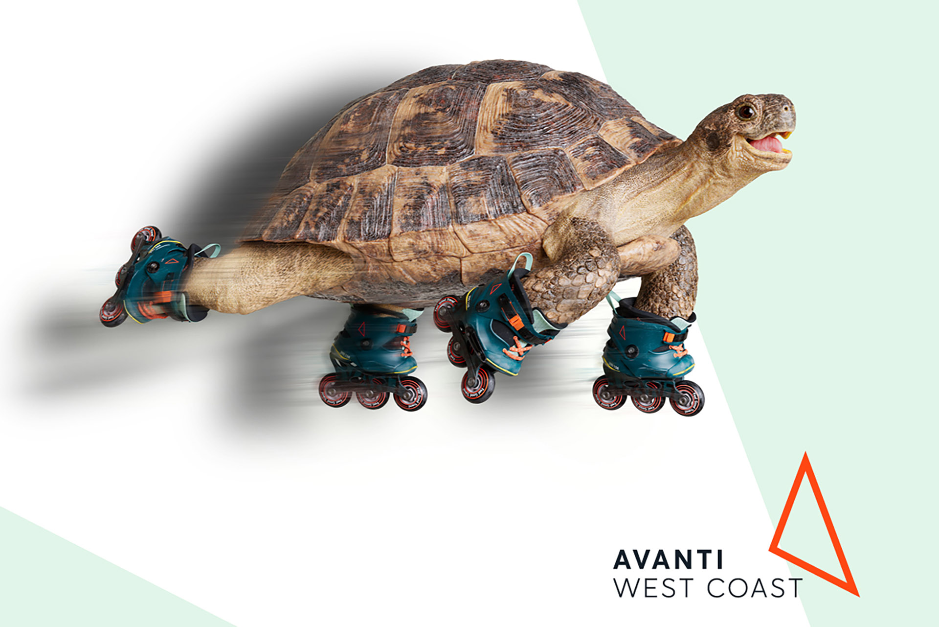 All Things Avanti - Gray Dawes Travel